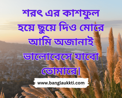 150+ ফেসবুক ক্যাপশন বাংলা (Facebook caption bangla)